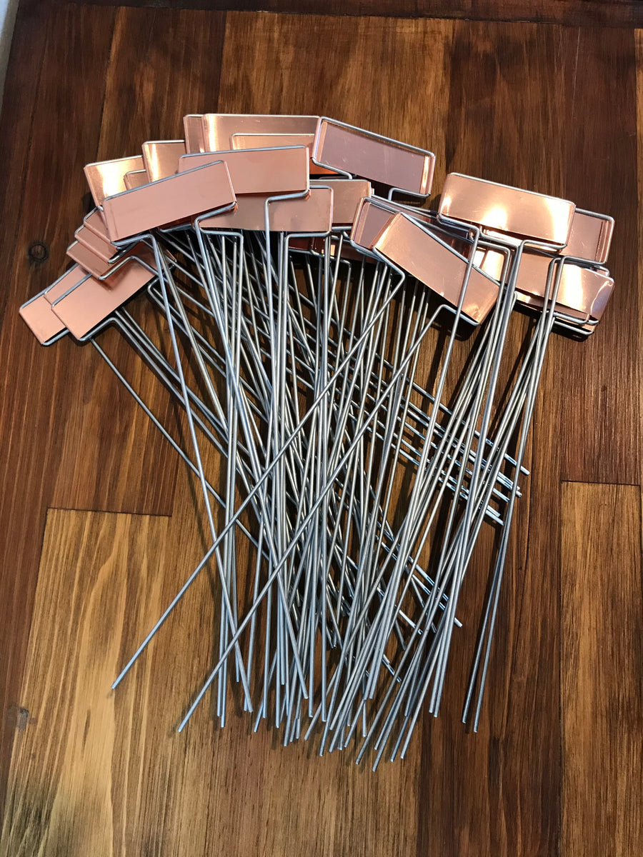 Bulk Packs of Copper Plant Tags for Gardens and Plants – Planter Earth